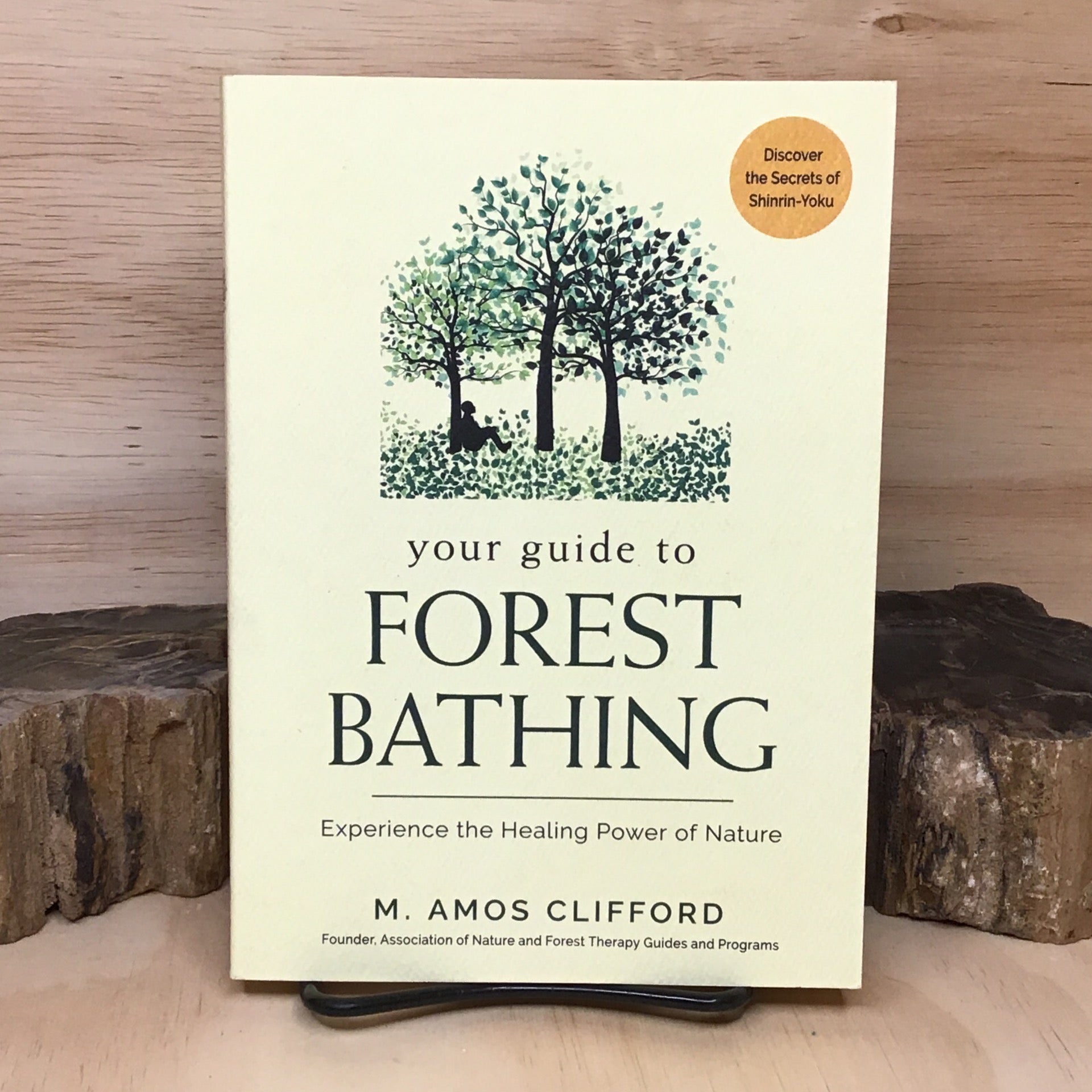 Your Guide To Forest Bathing | Tumbleweed Botanicals
